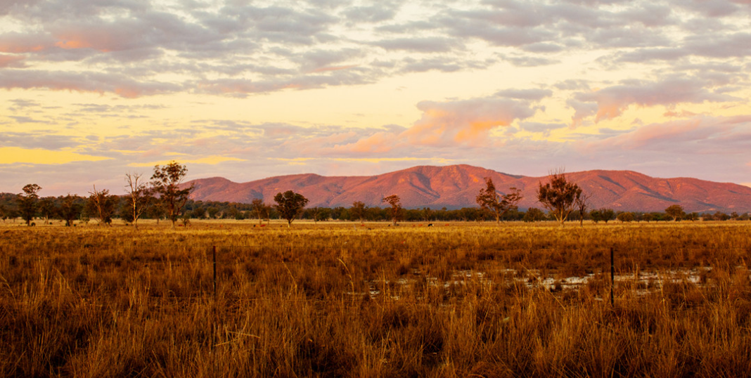 I Love a Sunburnt Country | Vitamin D | Aussie Pharmacy